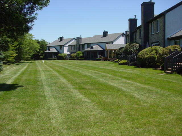 About Us | Mclain's Lawncare